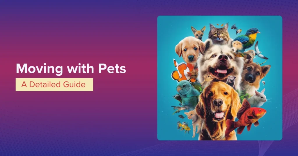 How to Move with Pets? Your Complete Guide